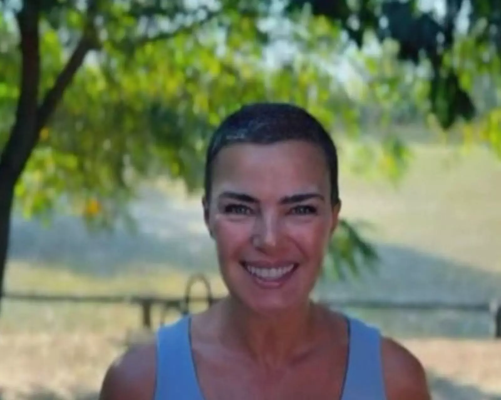 Internautas vibram com Ana Paula Arósio divulgando reprise de Terra ...